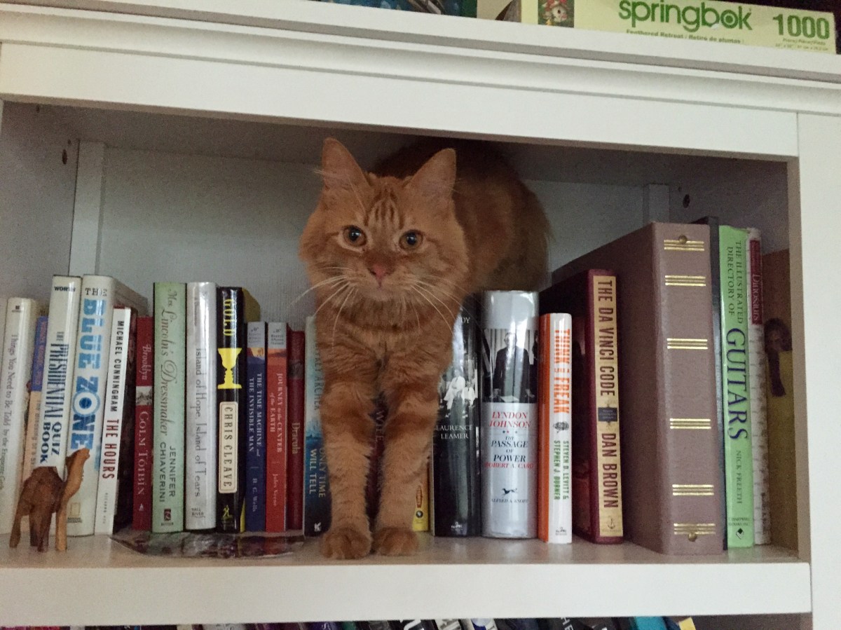 Personal Writing Update – Jayda Louise